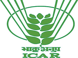 NRCG పుణెలో ఖాళీలు | National Research Center for Grapes-MRGS-Education