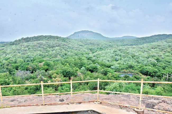 చేసింది గోరంత.. చేయాల్సిందిం కొండంత | Goranta did There is a lot to do ...