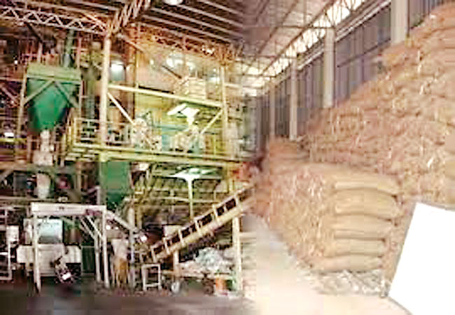 సంక్షోభం | westgodavari rice mills story-NGTS-AndhraPradesh