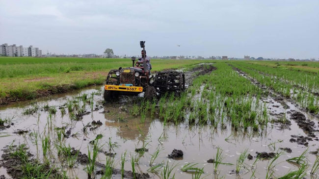 జగనన్న కాలనీలో వరి పొలం ధ్వంసం | Paddy field destroyed in Jagananna ...
