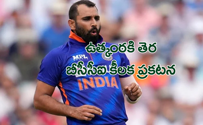 Shami: బీసీసీఐ కీలక ప్రకటన.. ఉత్కంఠకు తెర.. అందరూ ఊహించనట్టే ...