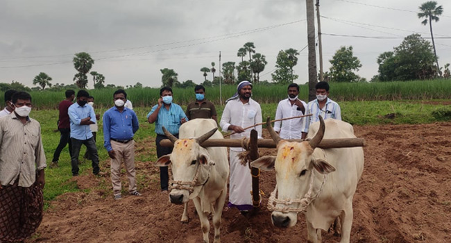 దుద్దుకూరులో ఏరువాక ప్రారంభించిన ఎమ్మెల్యే బాలరాజు | eruvaka mla ...