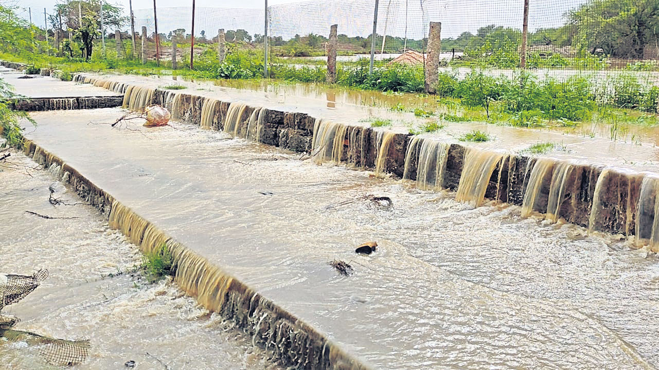 పంటలకు ప్రాణం పోసిన ముసురు | Musur which gave life to the crops