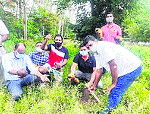 తాటి విత్తనాలు నాటే పనులు ప్రారంభం | tati tree seeds veluru tamilnadu ...