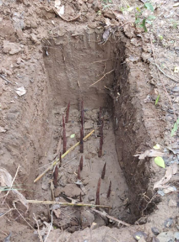 సరిహద్దుల్లో ‘బూబీ ట్రాప్స్‌’ | Booby Traps on Borders-NGTS-Telangana