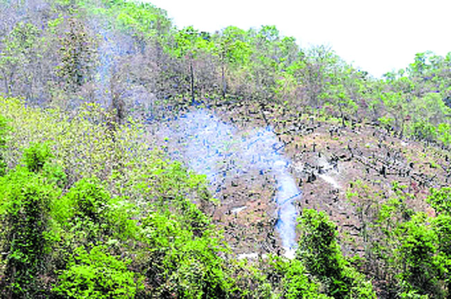 పోడు రైతుల కష్టాల ‘సాగు’ | Cultivation of Podu farmers hardships