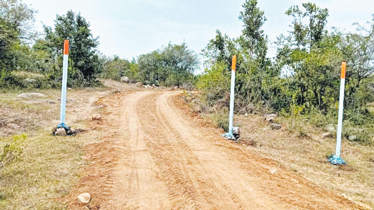 అటవీ భూములో దర్జాగా రోడ్డు | Graded road in forest lands
