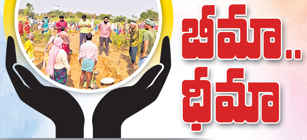 బీమా.. ధీమా | Bhima_Dhima