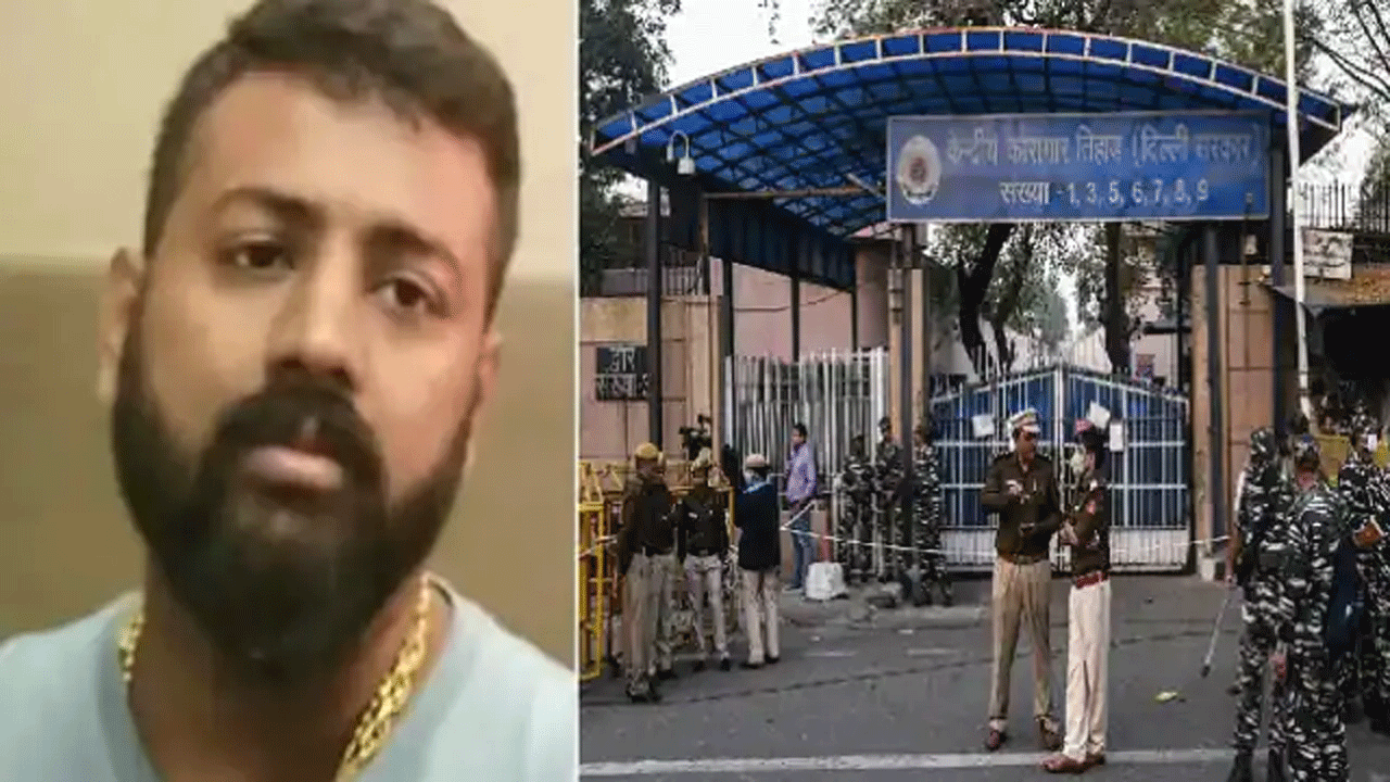 Sukesh Chandrashekhar: నన్ను ఢిల్లీ నుంచి వేరే జైలుకు తరలించండి...ఎల్ ...