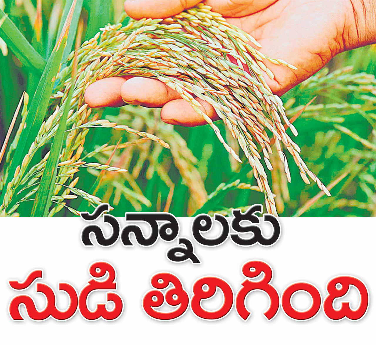 సన్నాలకు సుడి తిరిగింది | The whirlwind turned to Sanna