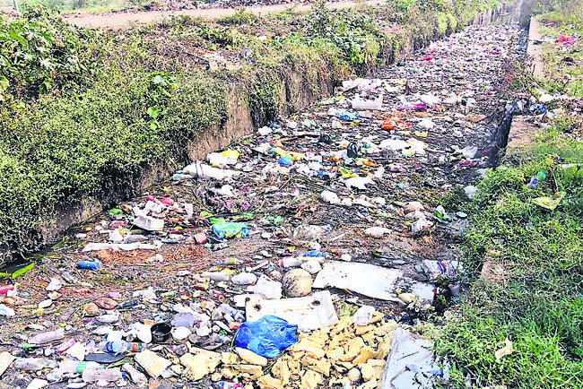 దోమలతో బెంబేలు | domalu
