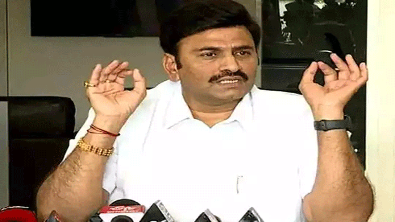 Raghurama Krishnaraja: గుంట నక్కల జోలికి వెళ్లను | Narasapuram MP ...