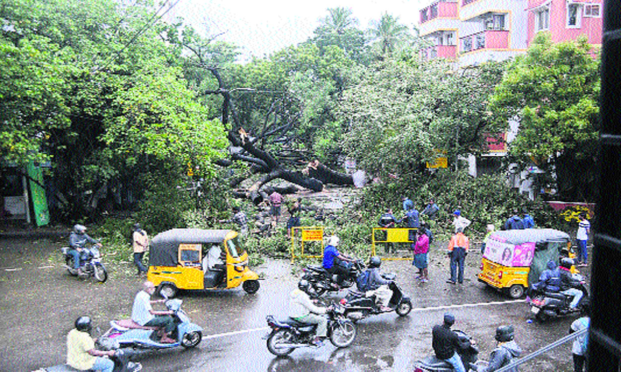 Mandus storm: తీరందాటినా తప్పని వాన కష్టాలు | Mandus storm: Inevitable ...