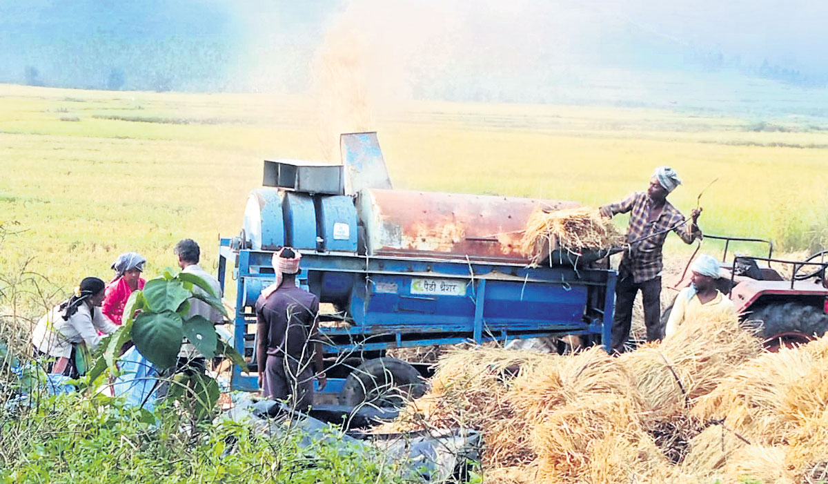 ముమ్మరంగా వరి నూర్పులు | Intensive paddy threshing