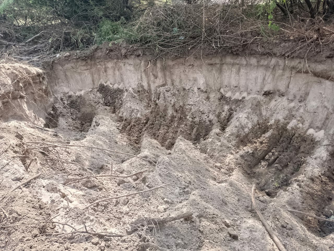 బుసక తోడేస్తున్నారు | busaka