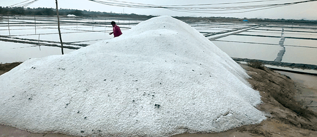 ఉప్పు.. తగ్గుతోంది! | Salt.. is decreasing!