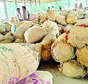 మిర్చి బంగారమాయే..! | Pepper is gold..!