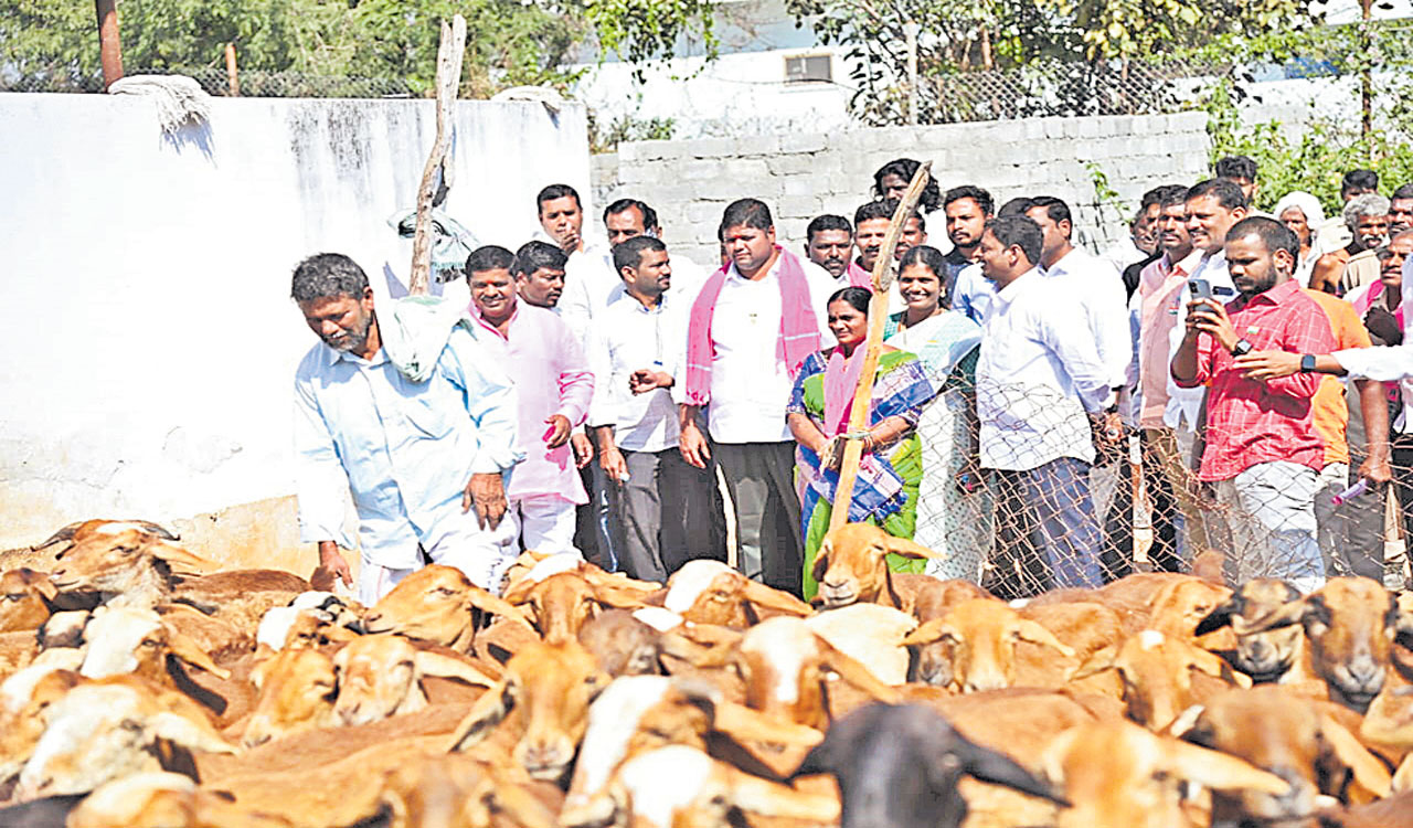 కొనసాగుతున్న ప్రశాంత్‌రెడ్డి పాదయాత్ర | The ongoing Prashanth Reddy ...