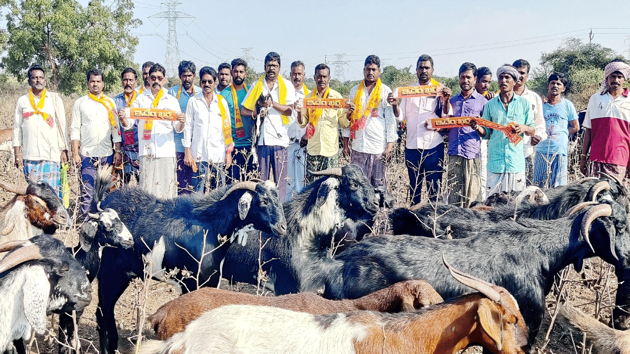 గొర్రెల పెంపకందారుల సమస్యలు పట్టవా? | Are sheep breeders having problems?