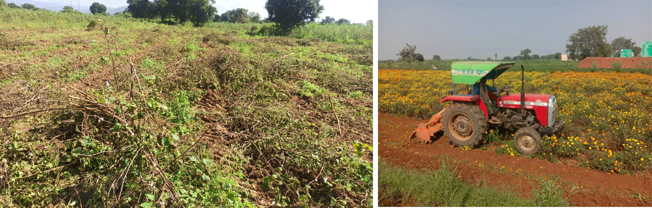 మాండ్‌సతో మటాష్‌ | Matash with Mandsa