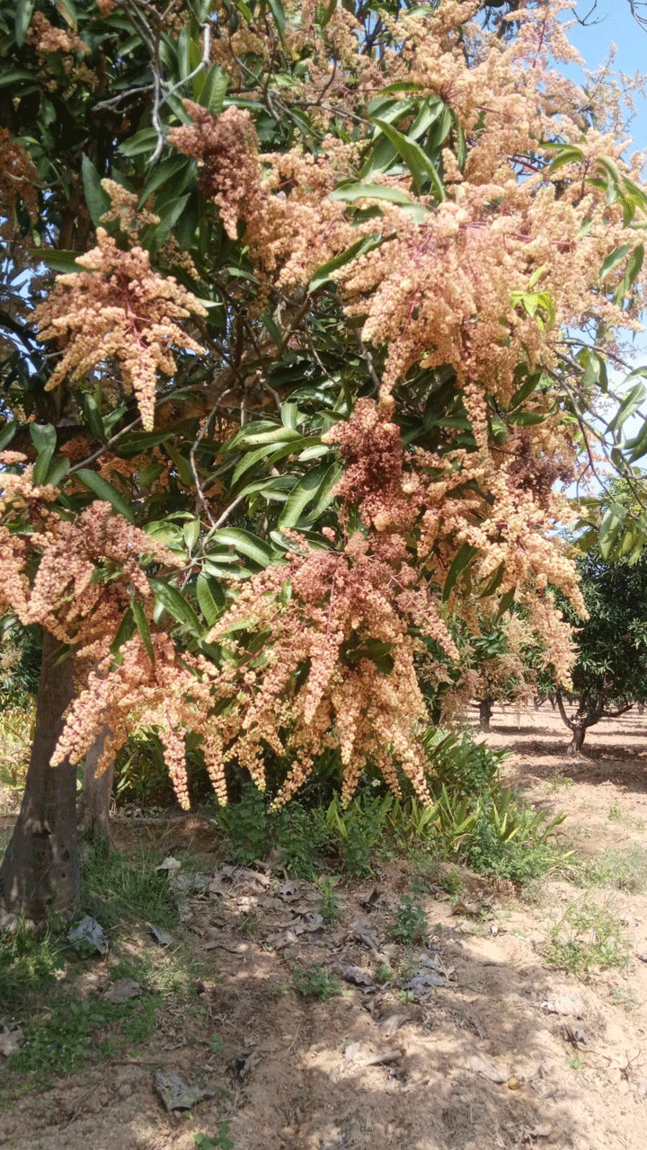 వాతావ ‘రణం’ | Vatava 'Ranam'