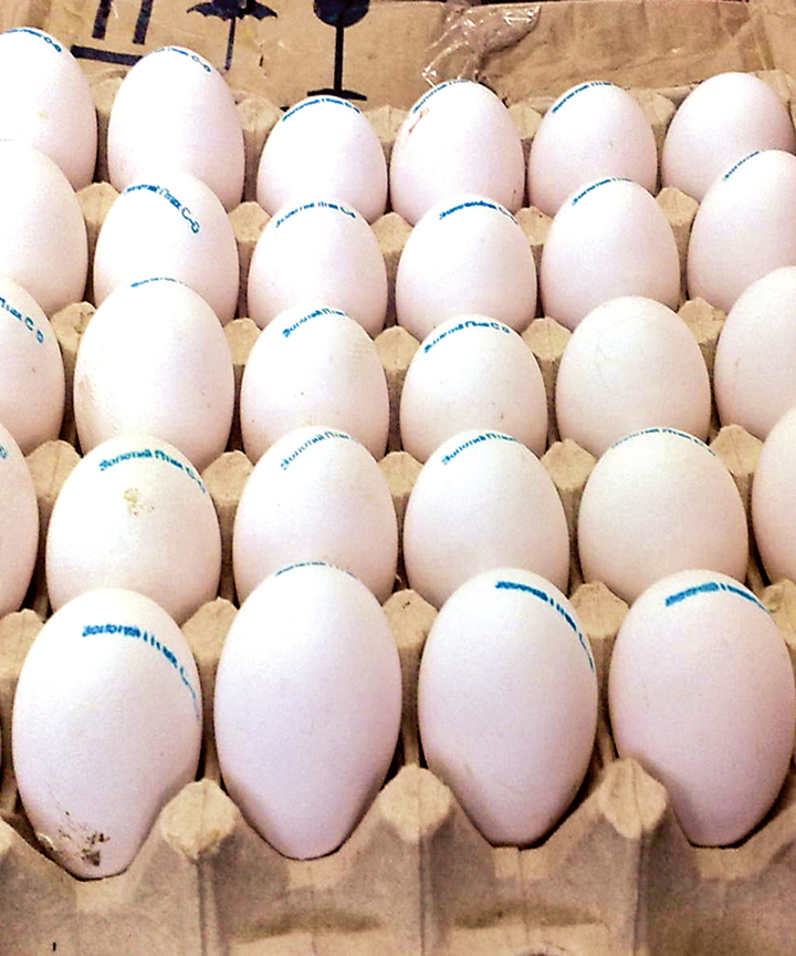 గుడ్డు ఎట్‌ ది రేట్‌ 7 | Egg at the rate 7