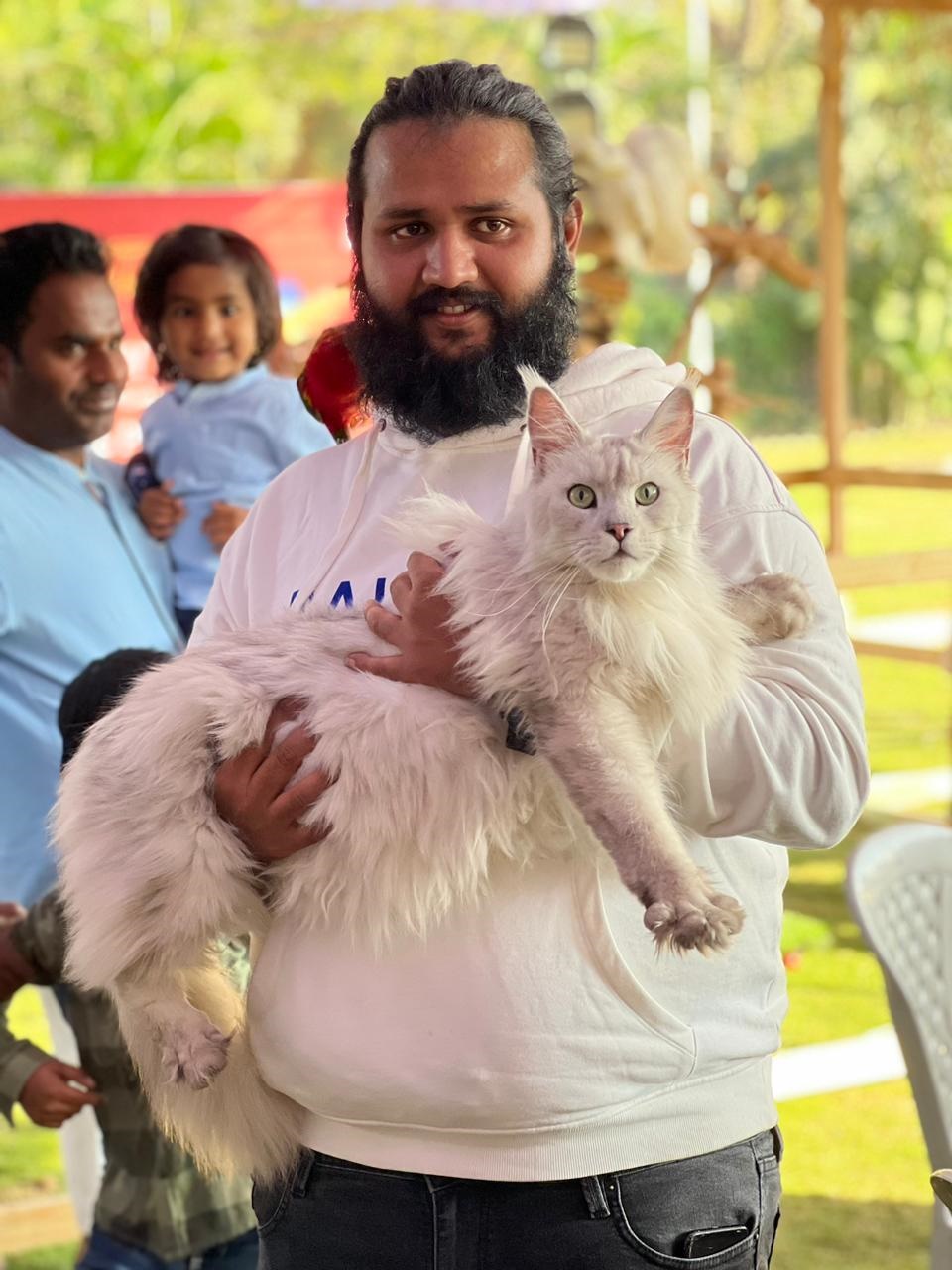 మియాం మియాం పిల్లి.. | Mim Mim cat..