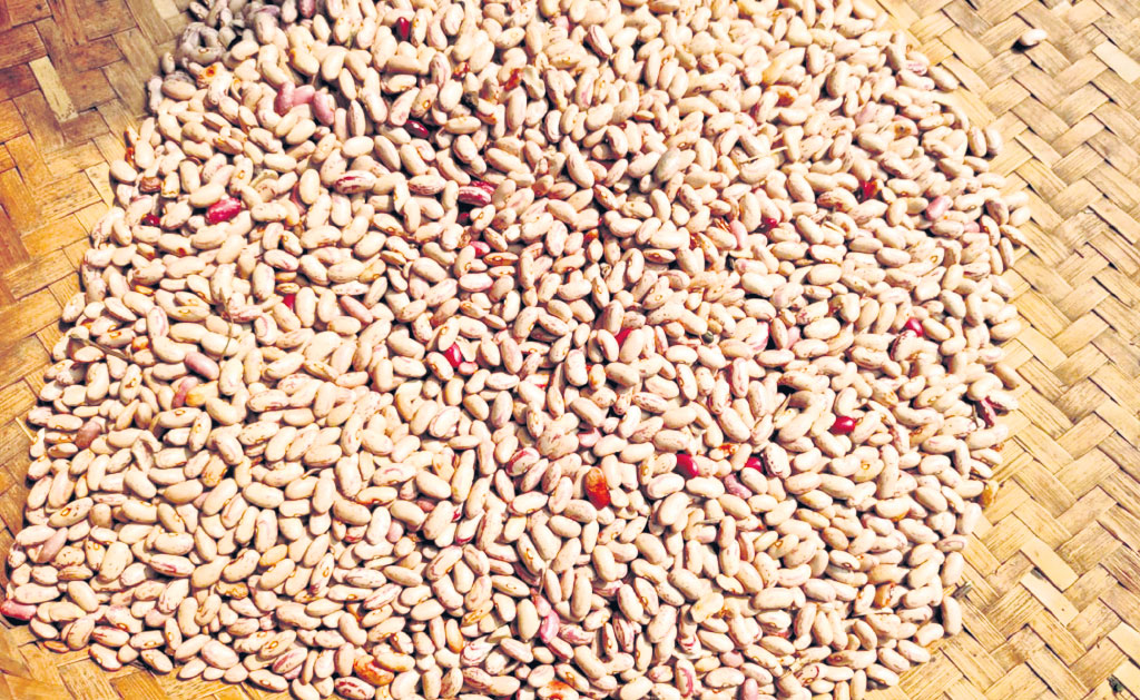 రాజ్‌మాకు రికార్డు స్థాయి ధర | Record price for Rajma