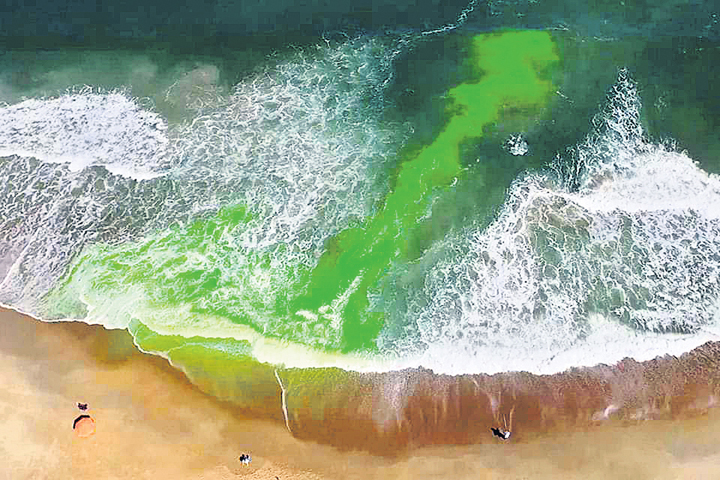 ప్రాజెక్టు సముద్ర | Project Samudra