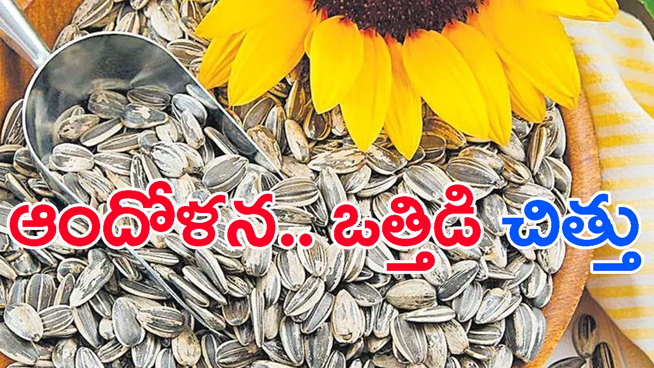 Seeds: ఈ విత్తనాలతో ఆందోళన.. ఒత్తిడి చిత్తు | Health benefits of ...