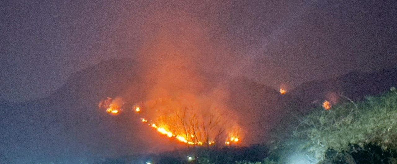 పాపేపల్లి కొండకు నిప్పు | Papepalli Hill is on fire