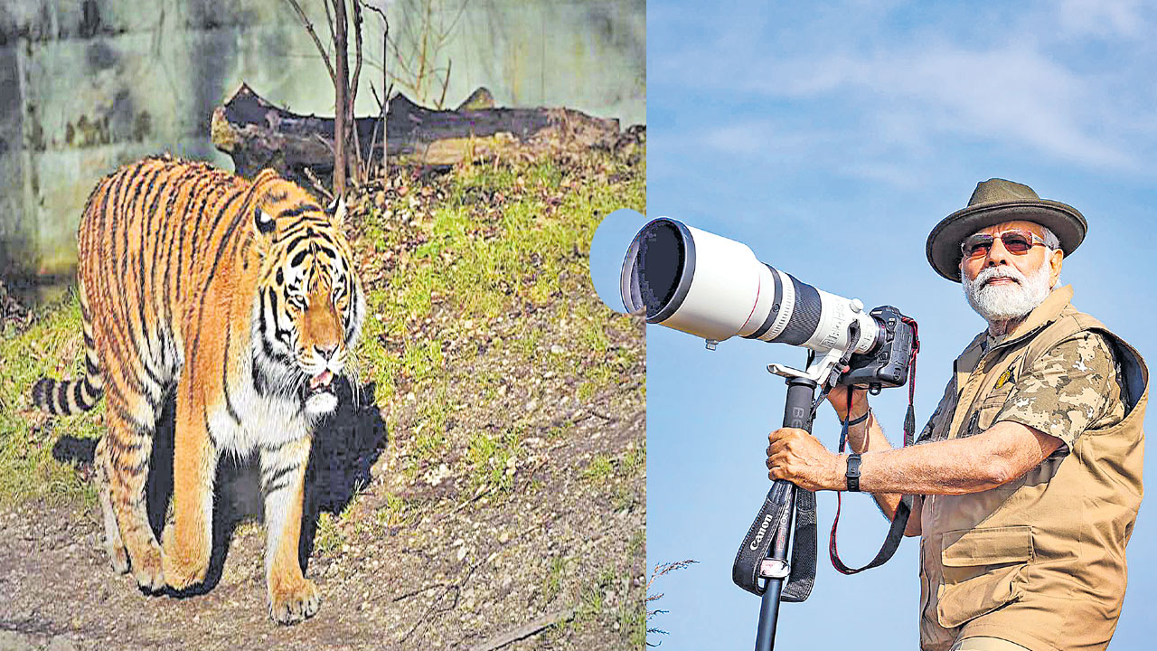 Prime Minister Modi : పర్యావరణం, ఆర్థికం రెండూ ముఖ్యమే | Conservation ...