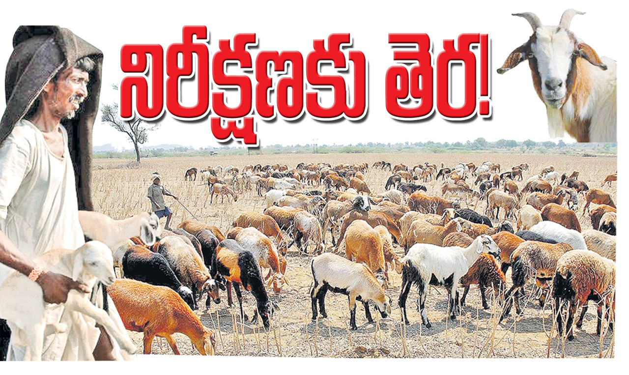 నిరీక్షణకు తెర! | Officials are preparing for the distribution of the ...