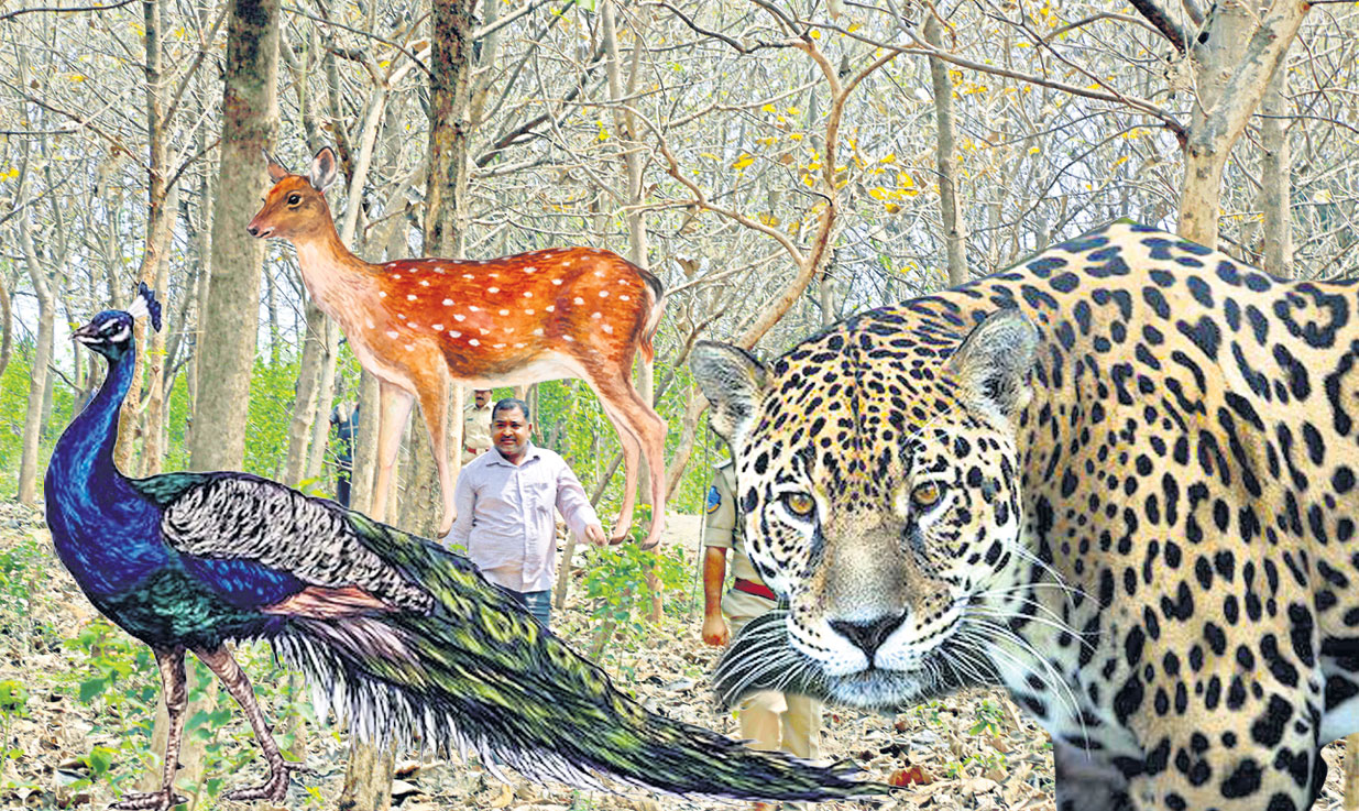 వనం దాటి ప్రాణం వదిలి | Leaving Prana beyond the forest