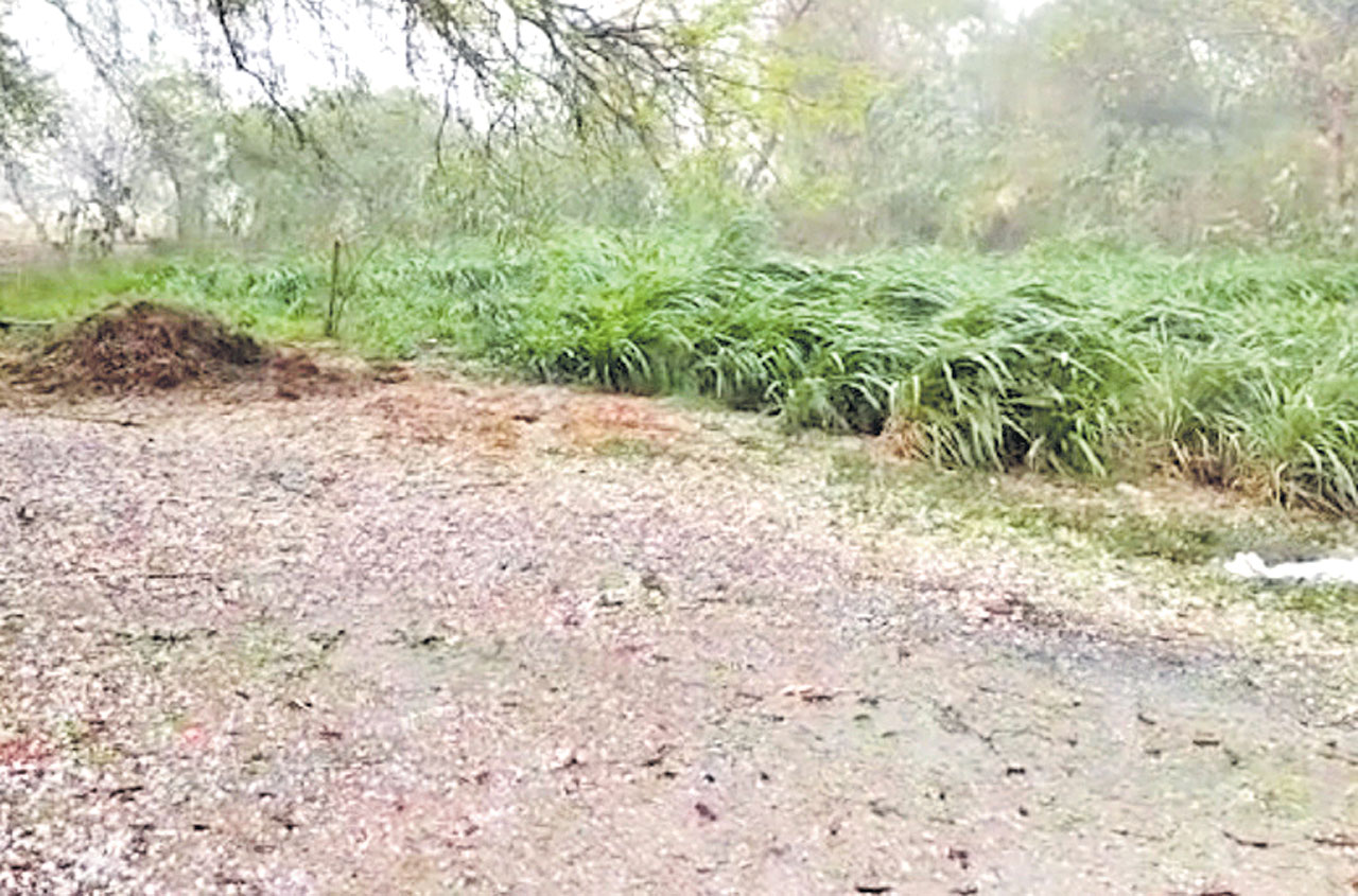 చేవెళ్ల మండలంలో వడగళ్ల వాన | Hail rain in Chevella mandal