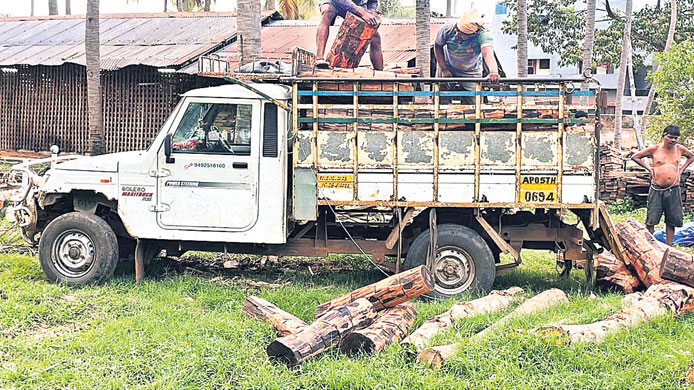 దర్జాగా కలప అక్రమ రవాణా | Trafficking of Darjaga timber