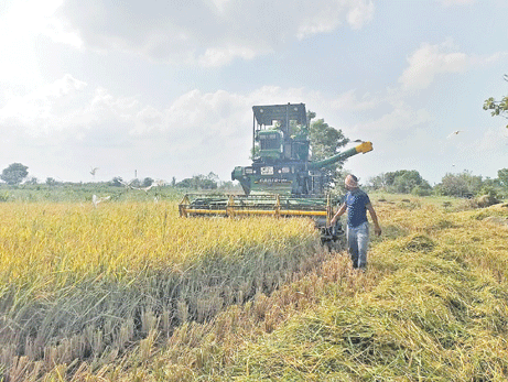 రైతులకు వరి కోతల భారం | Burden of rice harvesting for farmers