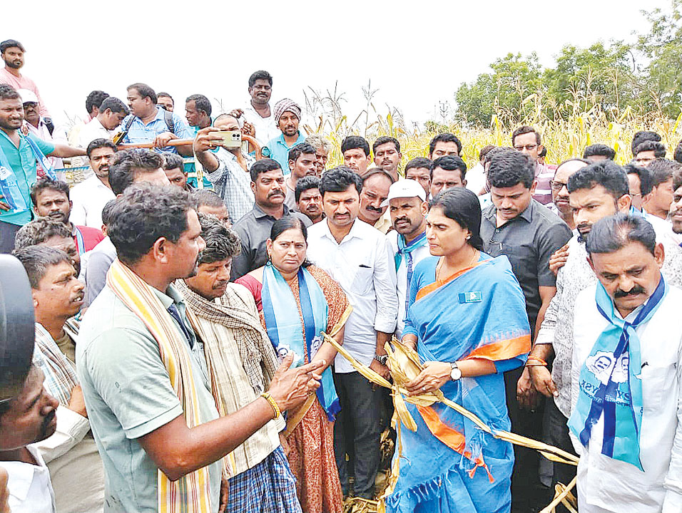రైతు సర్కారు అంటే ఇదేనా? | Is this the peasant government?