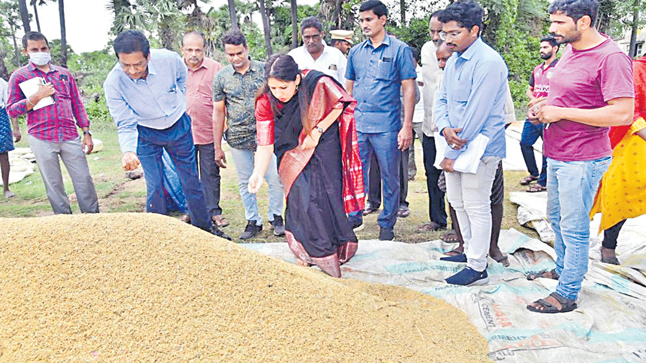 ఆర్‌బీకేల ద్వారా వేగవంతంగా ధాన్యం కొనుగోలు చేయాలి | paddy crop ...