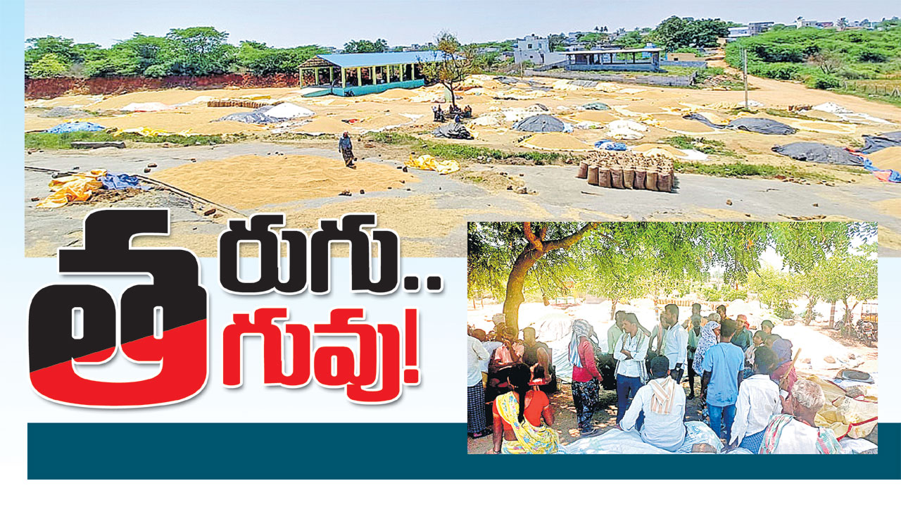 తరుగు... తగువు! | Extortion of grain in the name of Korris