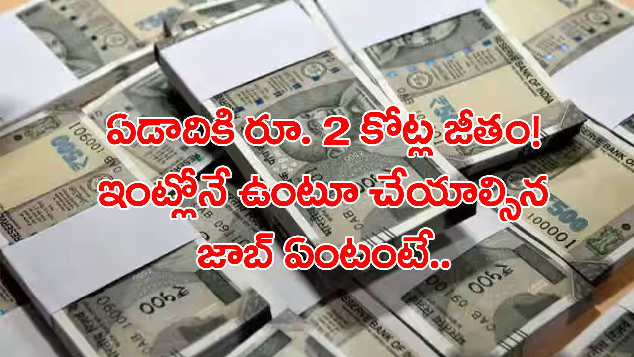 Rs 2 Crore Salary: ఇంటర్ దాకా చదివినా చాలట.. ఏడాదికి రూ.2 కోట్ల జీతం ...