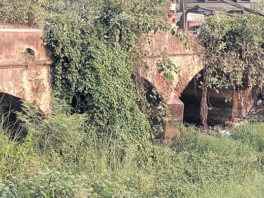 మునగపాక వంతెనకు పొంచిఉన్న ముప్పు | Munagapaka Bridge is under threat