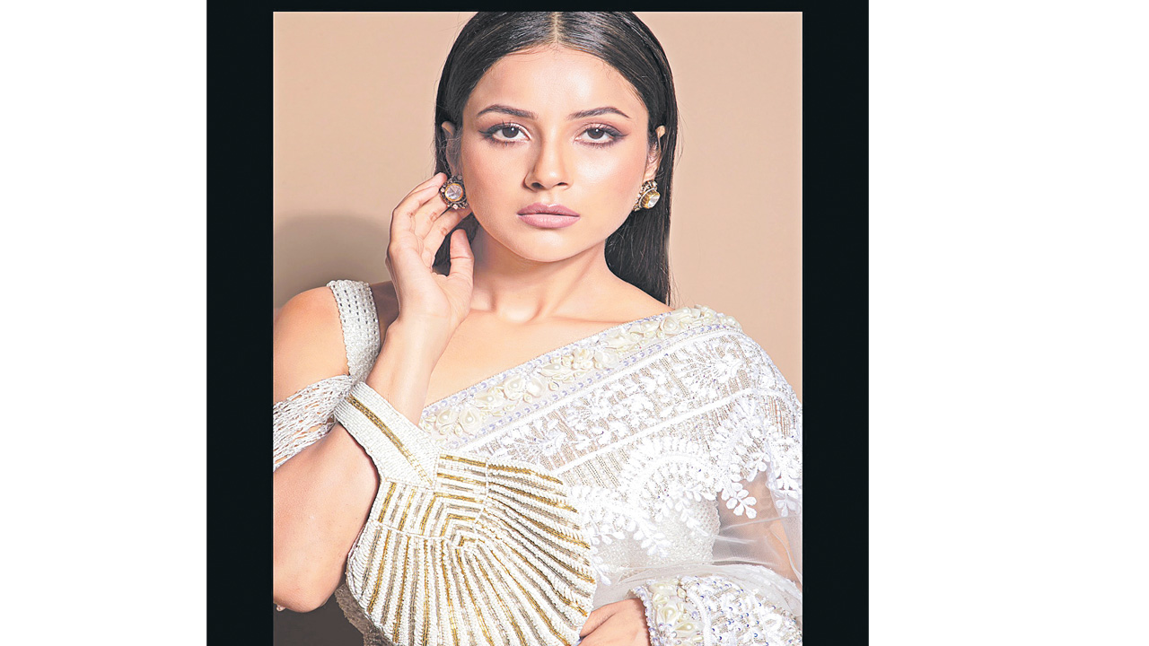 Shehnaz Gill : నేను కాదు.. నా ప్రతిభ మాట్లాడాలి! | Shehnaz Gill Here ...