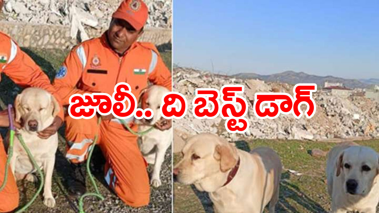 Julie awarded: టర్కీలో 6 ఏళ్ల బాలిక ప్రాణాలను కాపాడినందుకు NDRF కుక్క ...