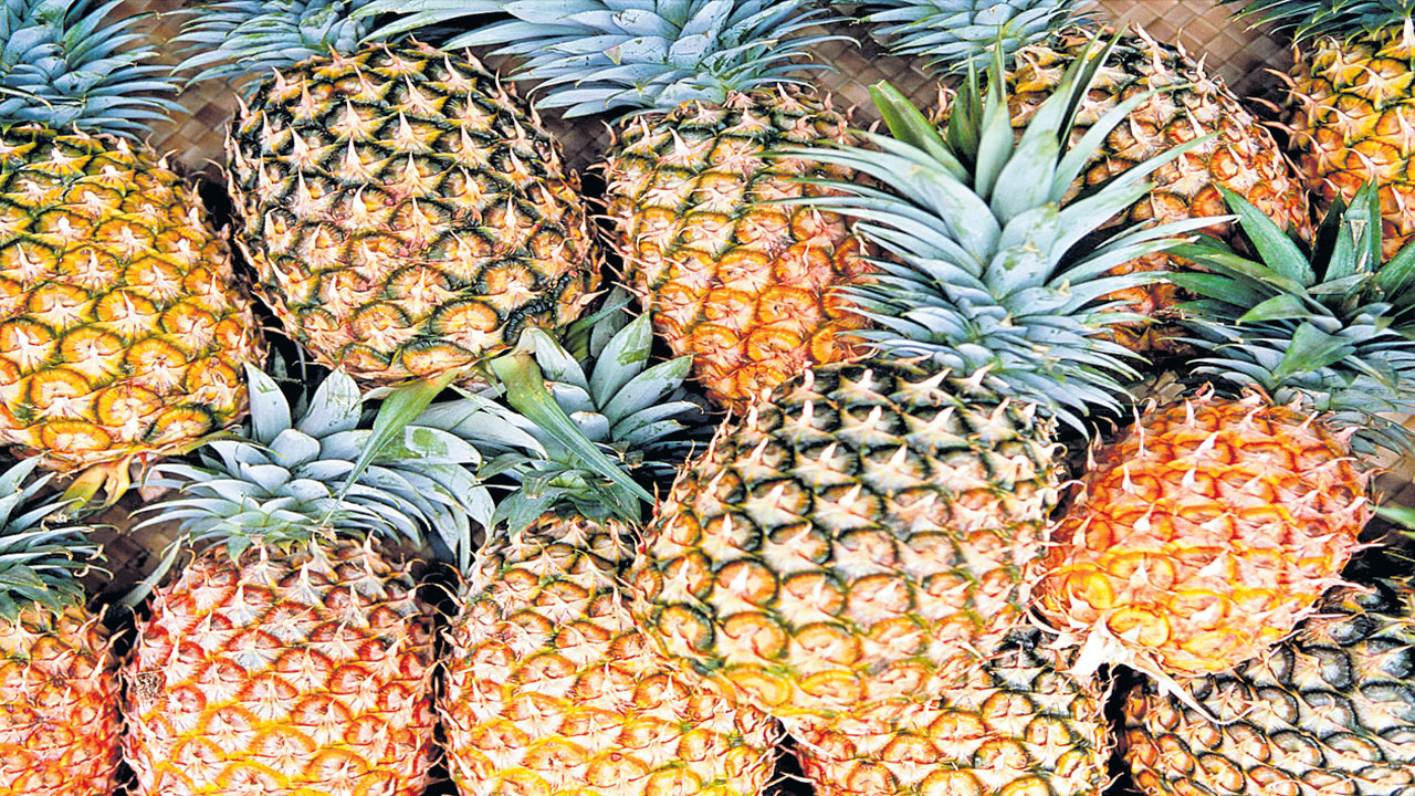 Pineapple: మీకు తెలుసా? | It takes two years for a pineapple to fully ripen