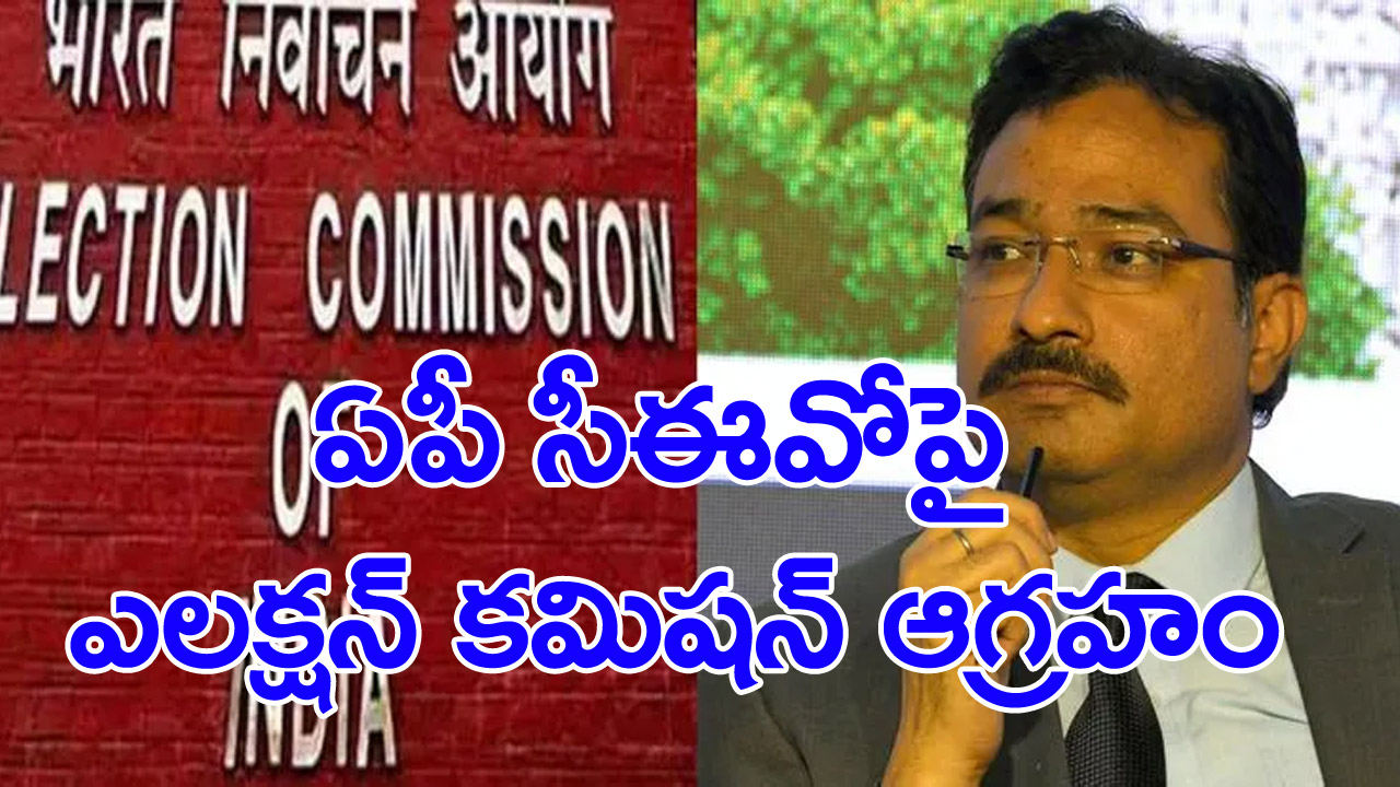 Election Commission of India: ఏపీ సీఈవో ముకేశ్ కుమార్ మీనాపై కేంద్ర ...