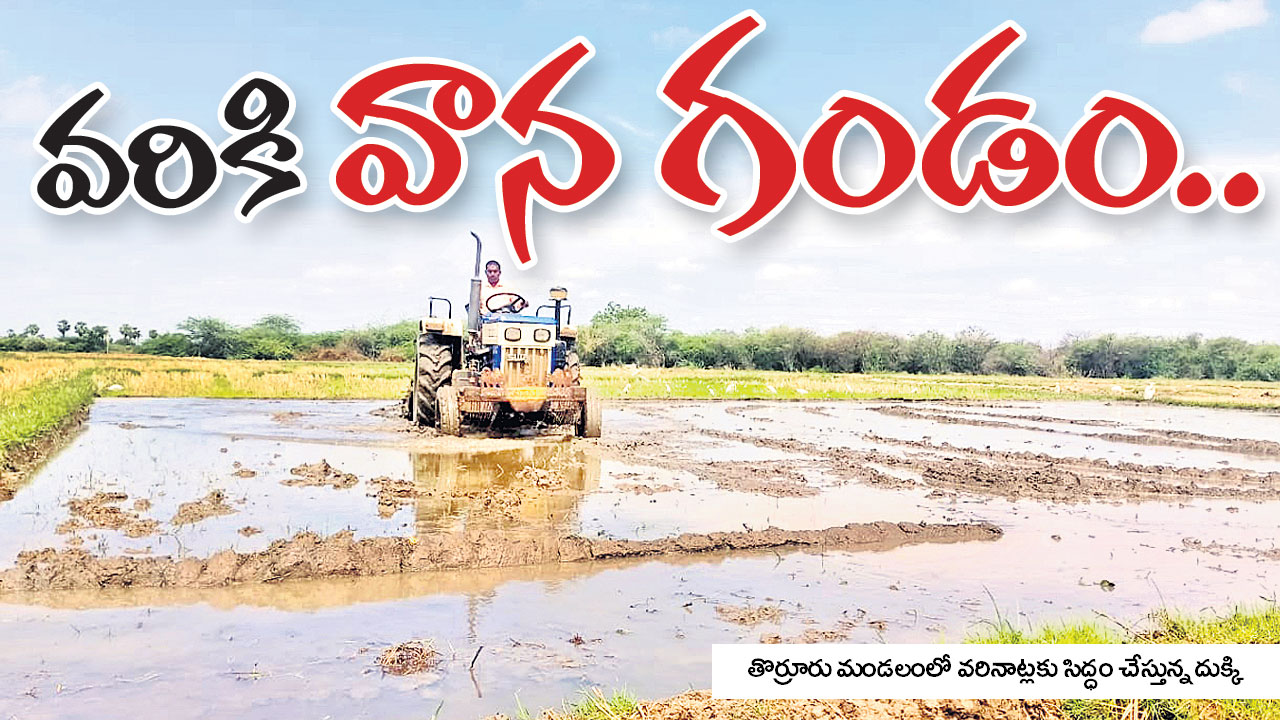 వరికి వాన గండం.. | Variki Vaana Gandam