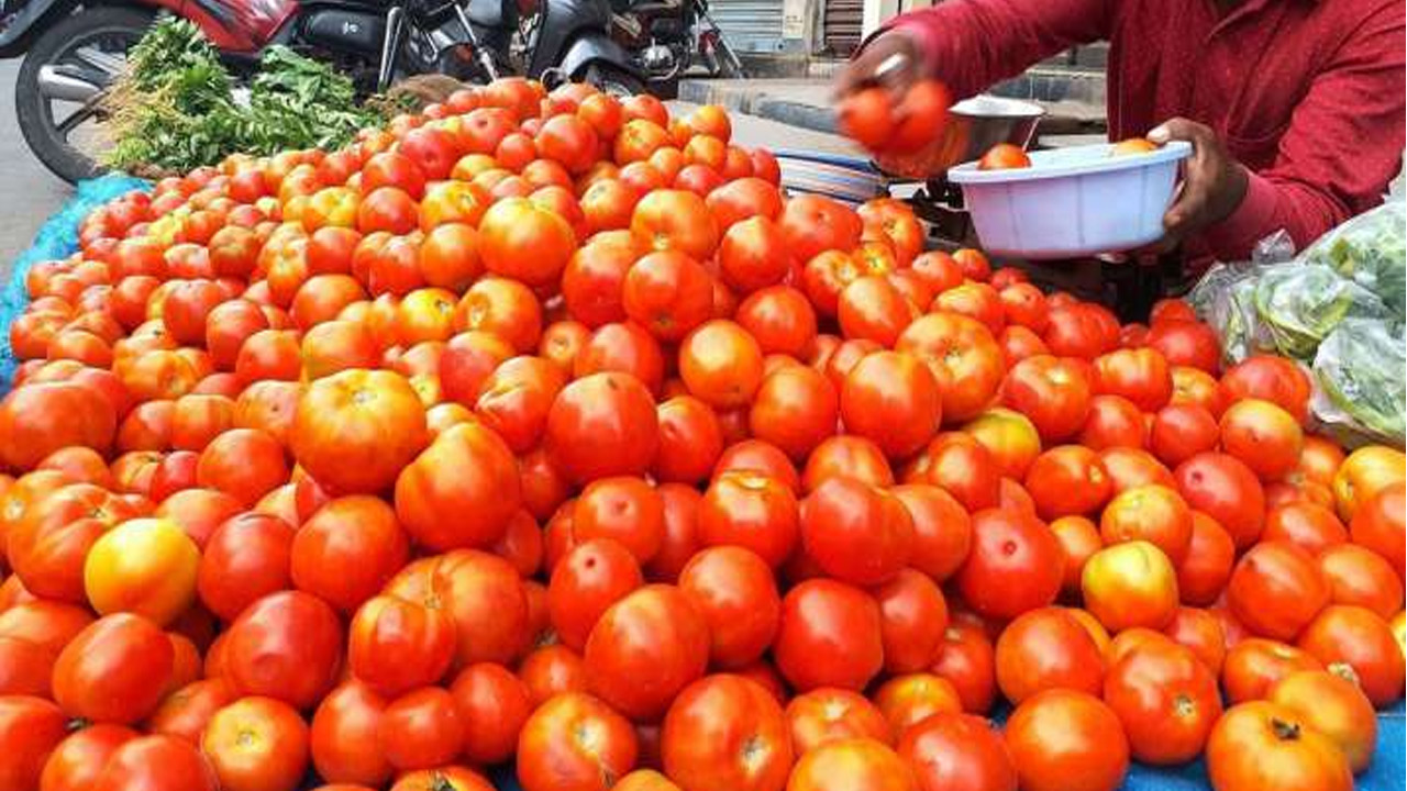 Tomoto: టమాటా ధరలకు కళ్లెం వేసేందుకు రంగంలోకి కేంద్రం | Centre plans tomato procurement from key ...