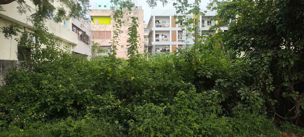 ఖాళీ స్థలాలతో నరకం! | kali placelathoo narakam