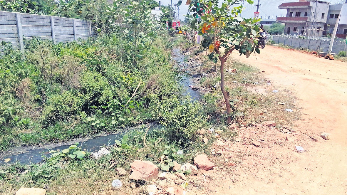 దోమల హోరు.. ప్రజల బేజారు | Choir of mosquitoes.. People's bazaar